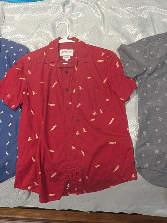 Tops | Gender Free World Charlie 1 Shirts | Poshmark